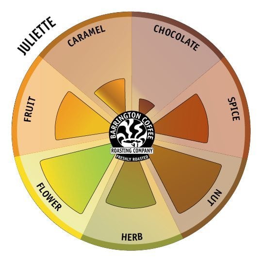 Flavor Wheel – Barrington Coffee Roasting Company