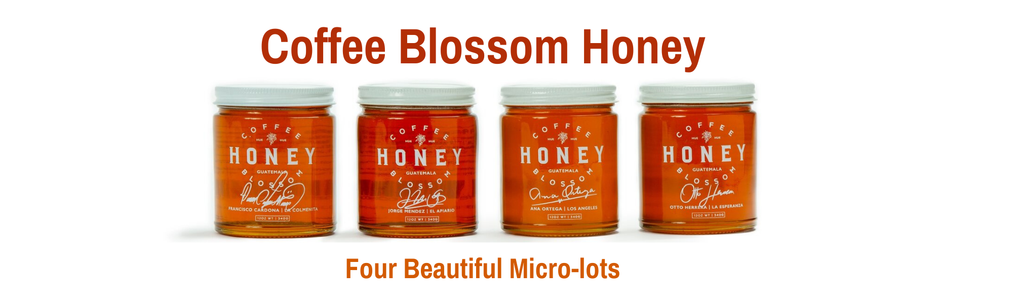 Barrington Coffee Roasting Company – Hand Roasted Daily