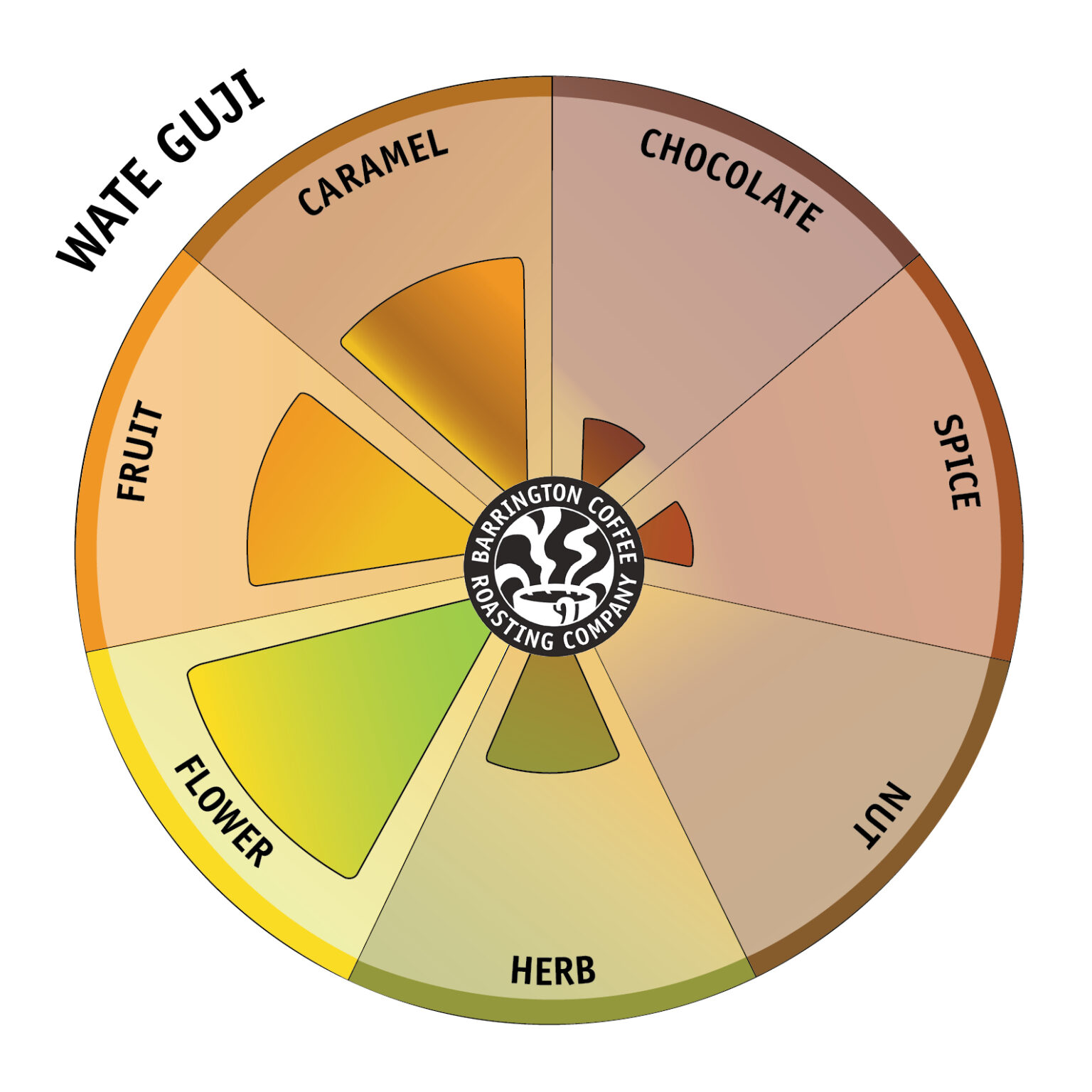 Barrington Coffee Roasting Company – Hand Roasted Daily