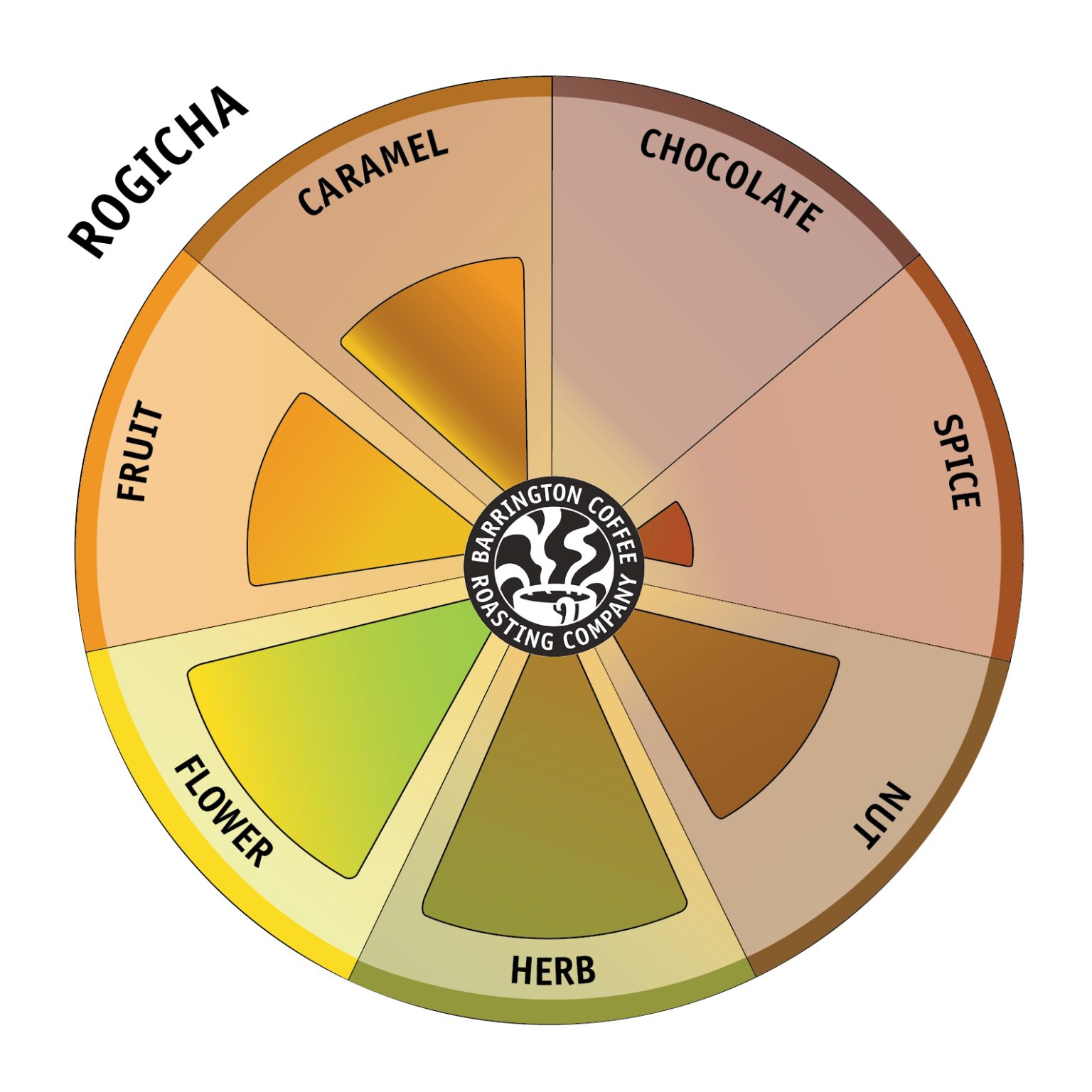 Barrington Coffee Roasting Company – Hand Roasted Daily